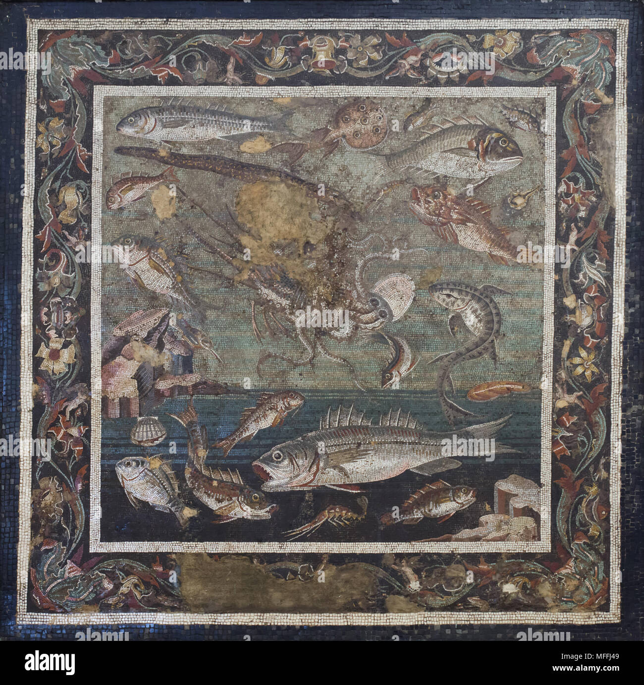 Mosaic fish pompeii Banque de photographies et d’images à haute ...