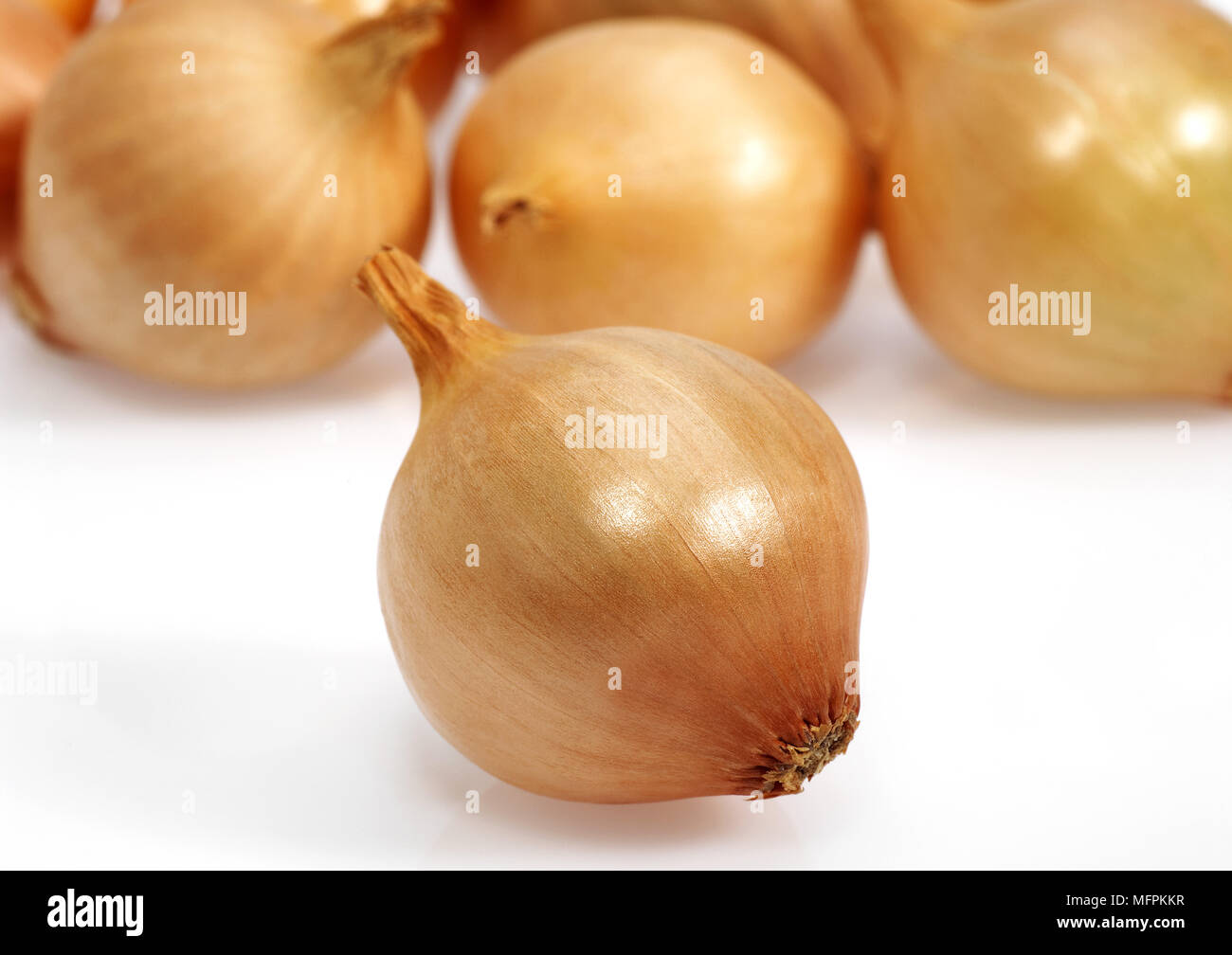 Oignon grelot Banque de photographies et d’images à haute résolution ...