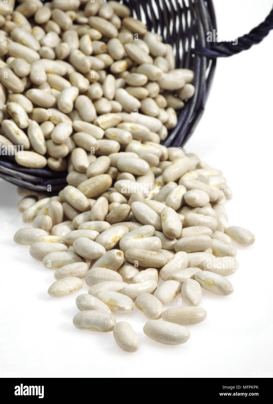 Haricots Blancs Ou Mogette De Vend e Phaseolus Vulgaris Photo Stock haricots-blancs-ou-mogette-de-vend-e-phaseolus-vulgaris-photo-stock