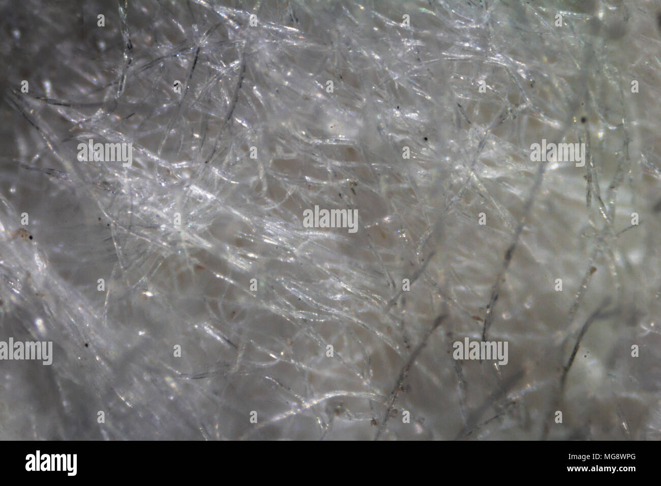 Fiber microscope polyester Banque de photographies et d’images à haute ...