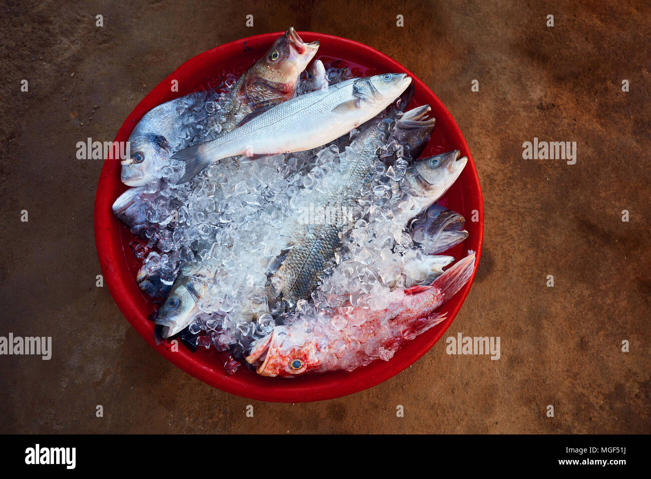 Poissons morts au sol Banque de photographies et d’images à haute ...