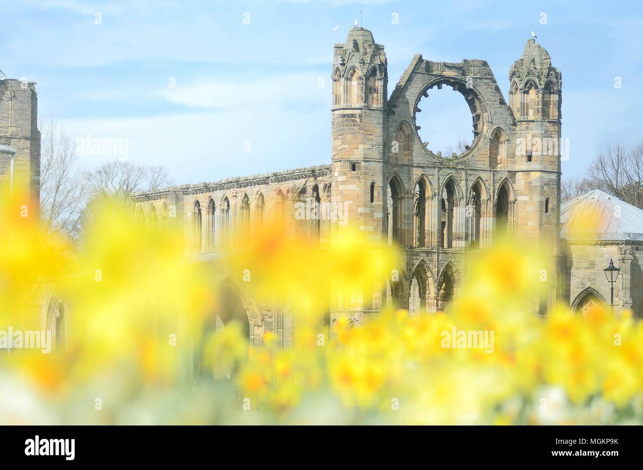 Ruins of elgin cathedral Banque de photographies et d’images à haute ...