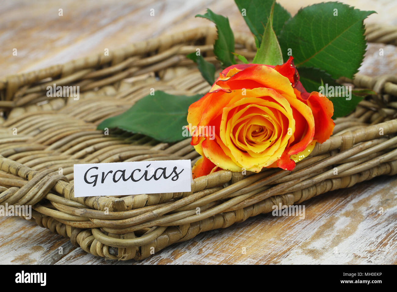Gracias (merci en espagnol) avec orange rose sur le plateau en osier ...