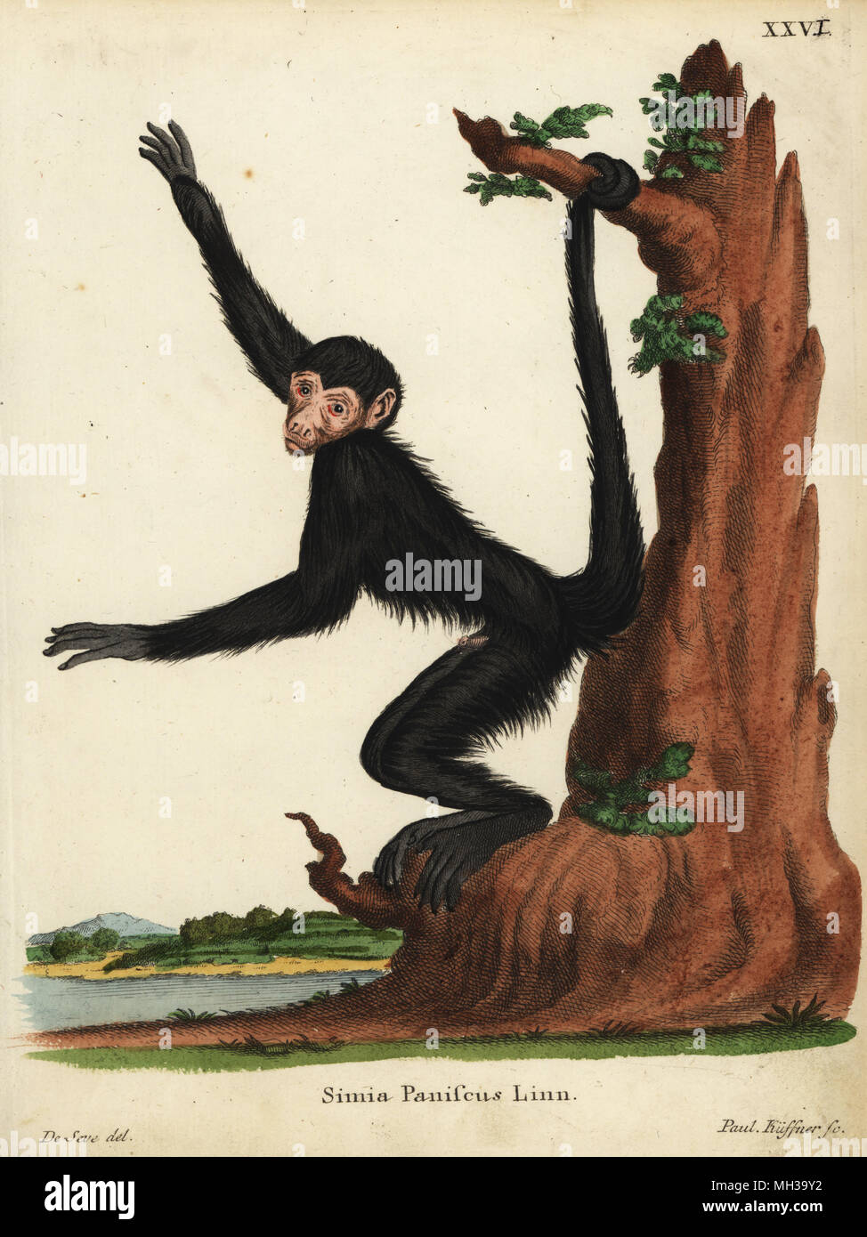 Paul kuffner Banque de photographies et d’images à haute résolution - Alamy