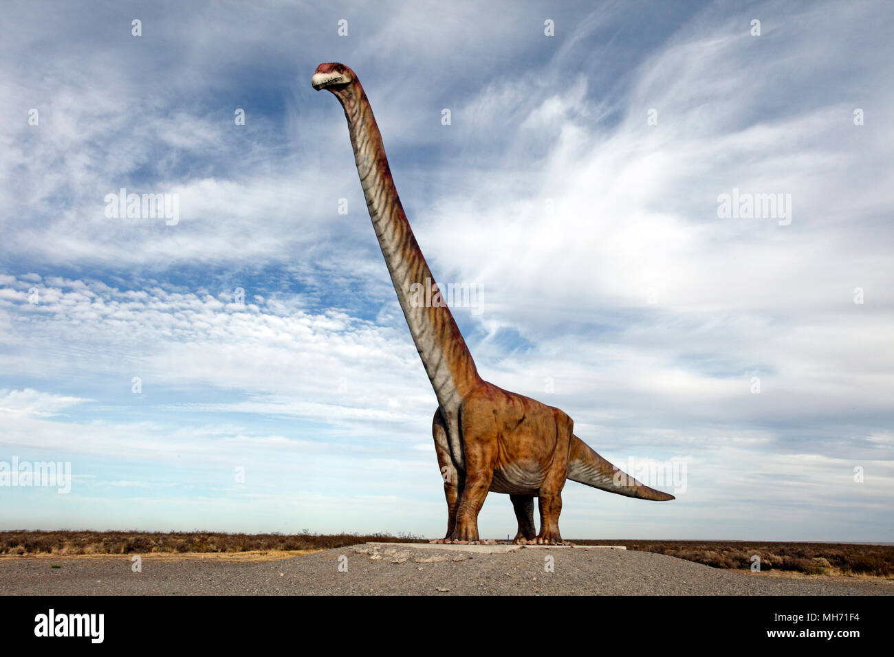 Patagotitan mayorum, crétacé inférieur Photo Stock - Alamy