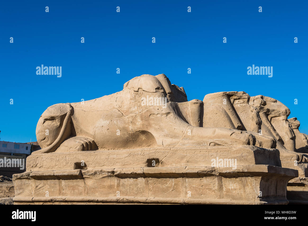 Statue de Ram à l'entrée du temple de Karnak (Thèbes antique et sa ...