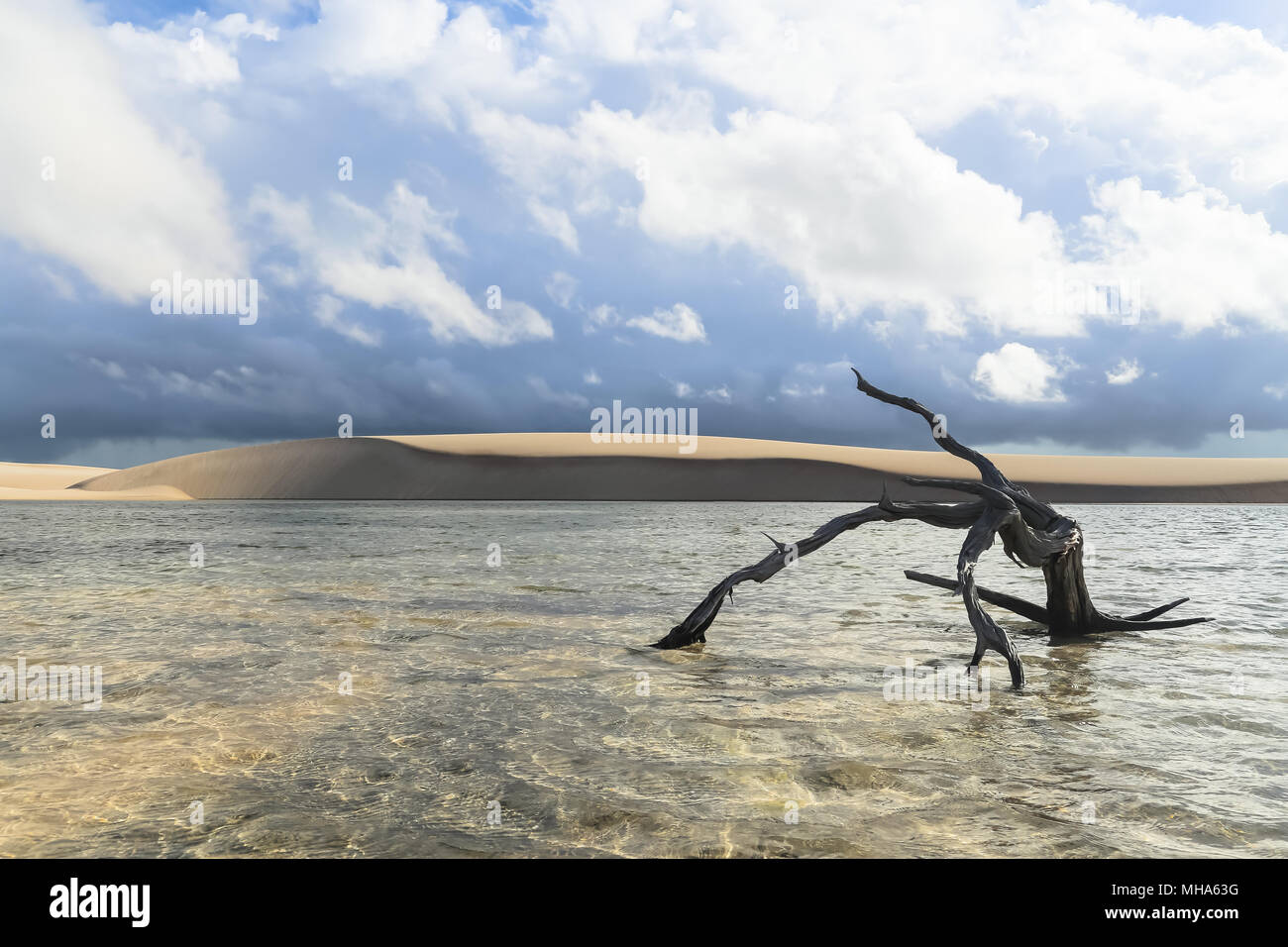 Lecois maranhenses Banque de photographies et d’images à haute ...