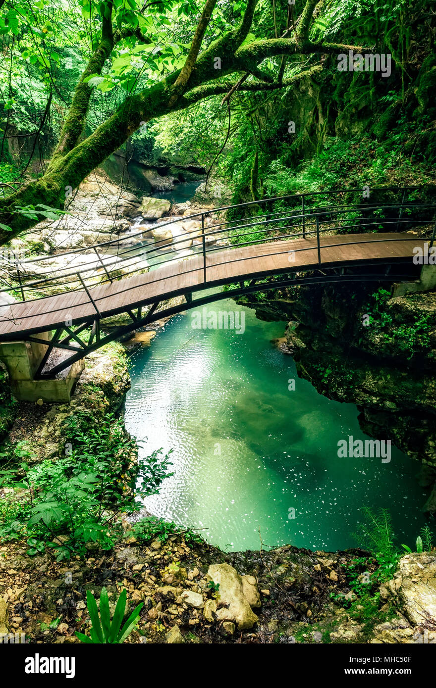 Canyon de Martvili en Géorgie. Beau canyon naturel avec vue sur la ...