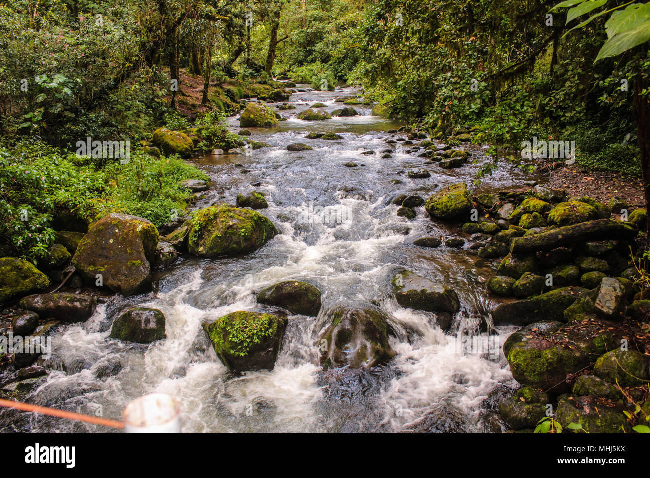 San gerardo de do Banque de photographies et d’images à haute ...