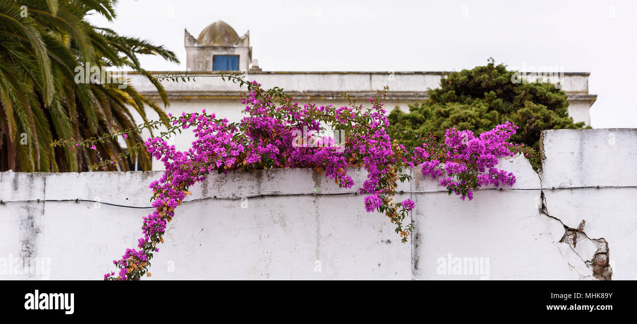 Architecture de Tanger, une grande ville au nord du Maroc. Elle est la ...