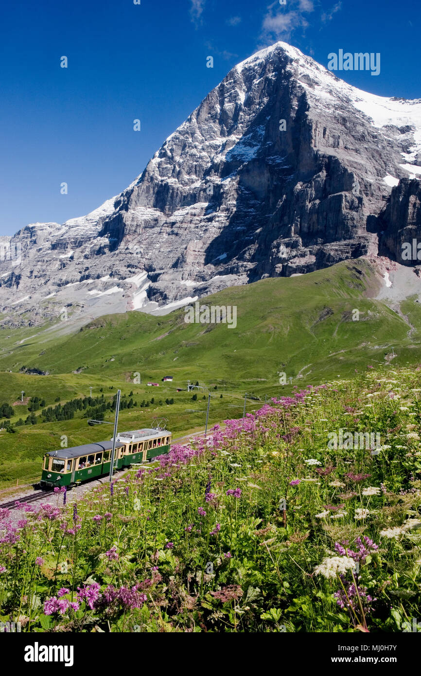 L'Eiger et sa célèbre Eiger Nordwand (face nord) à partir de la petite ...
