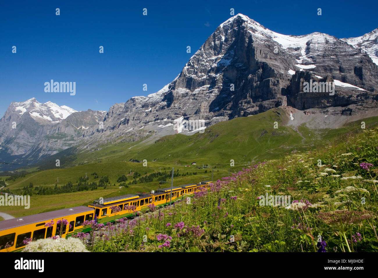 L'Eiger et sa célèbre Eiger Nordwand (face nord) à partir de la petite ...