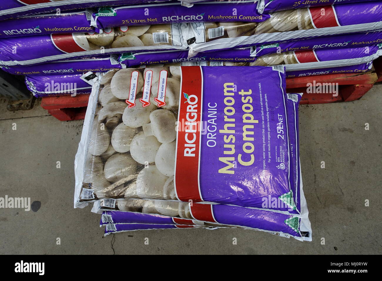 Compost de champignons Banque de photographies et d’images à haute ...