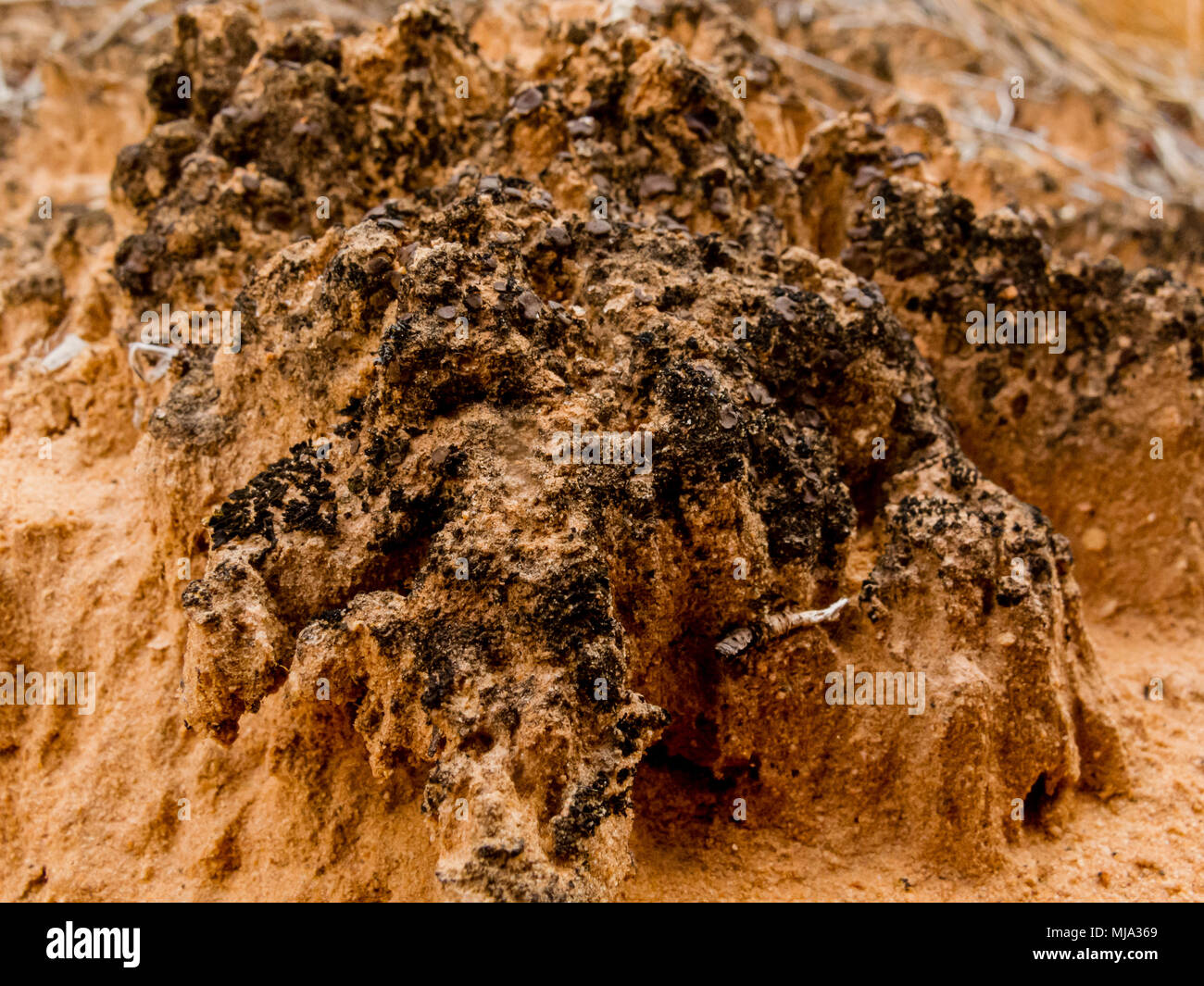 Arid soil crust Banque de photographies et d’images à haute résolution ...