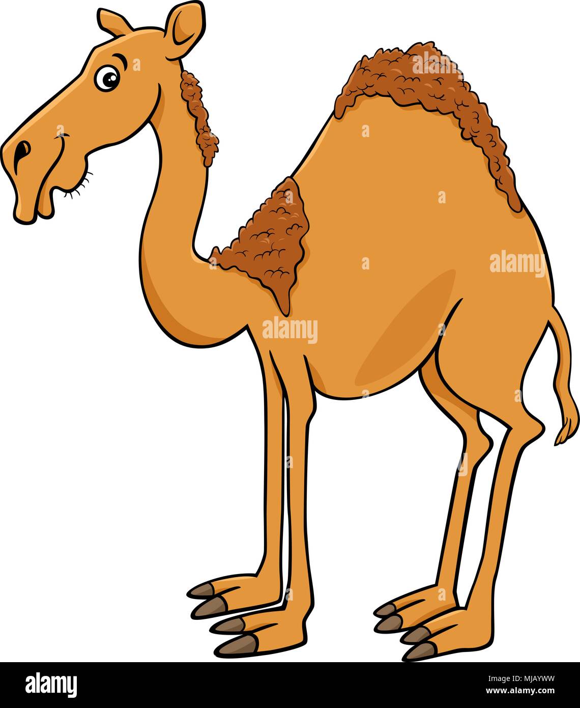 Humorous Cartoon Animals Caricature Banque d'images vectorielles - Alamy