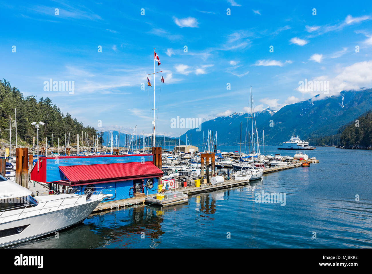 Sewells marina Banque de photographies et d’images à haute résolution ...