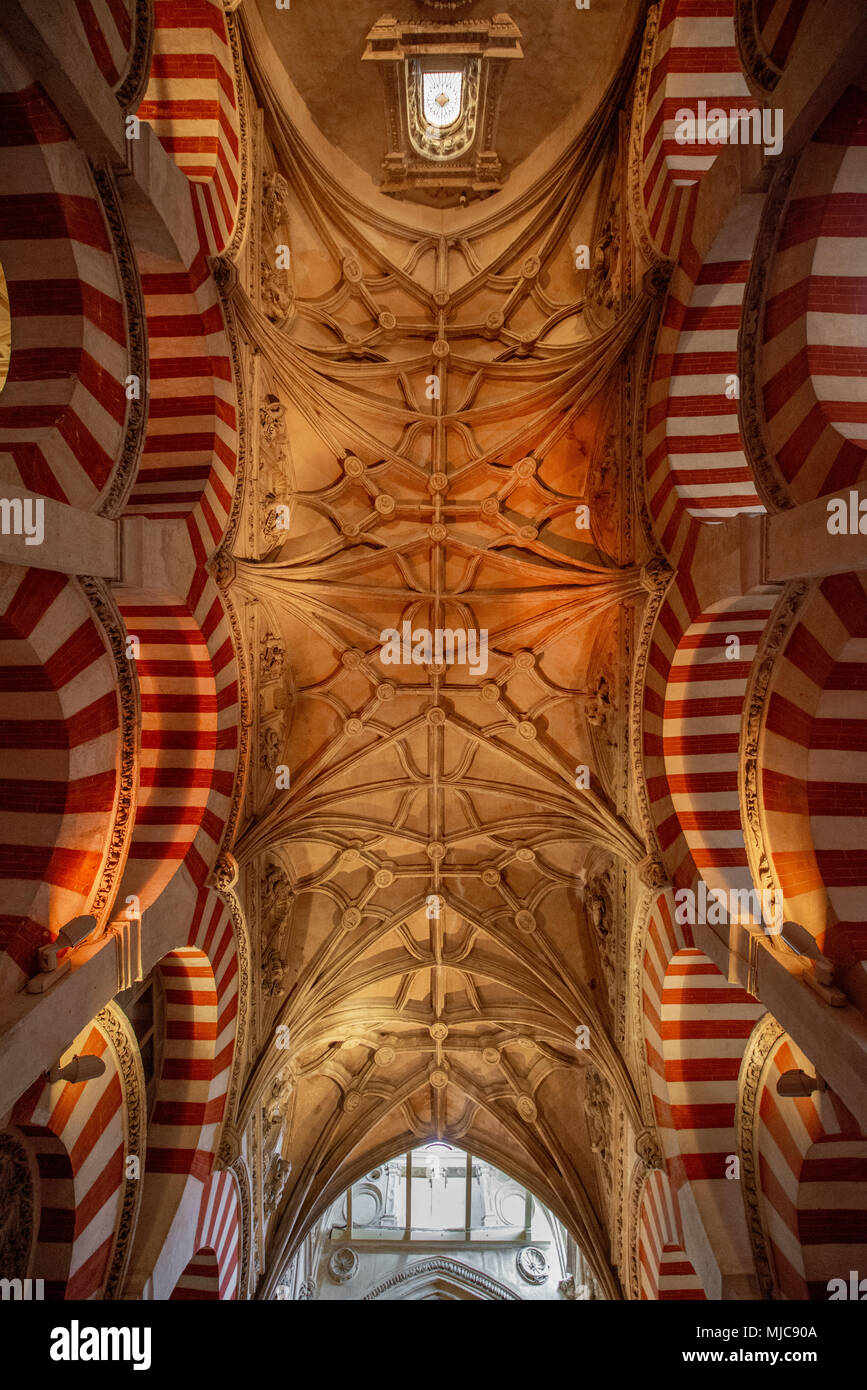 Plafond en stuc de la salle à colonnes avec arches arrondies, de style ...