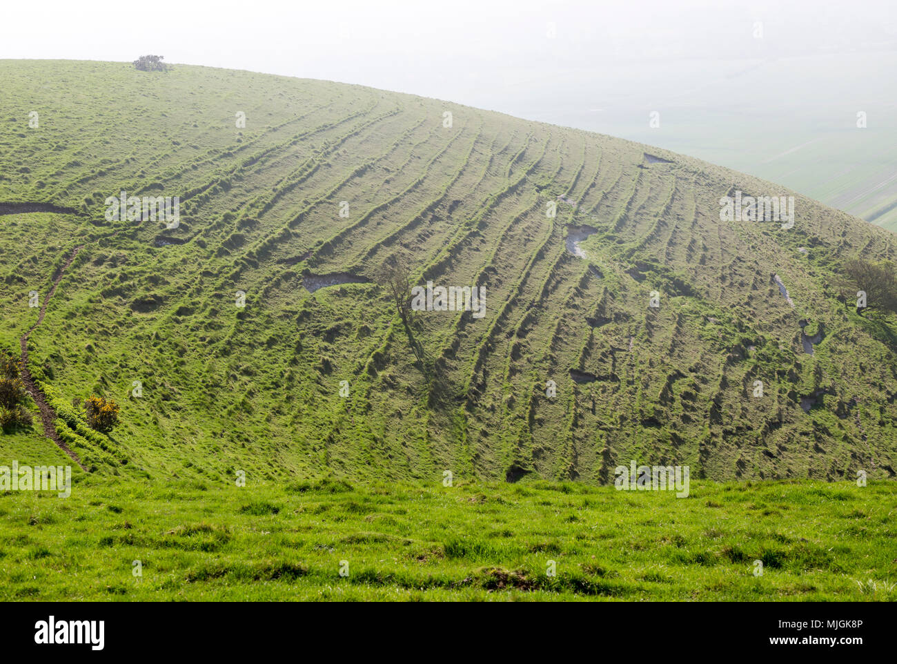 Soil creep Banque de photographies et d’images à haute résolution - Alamy