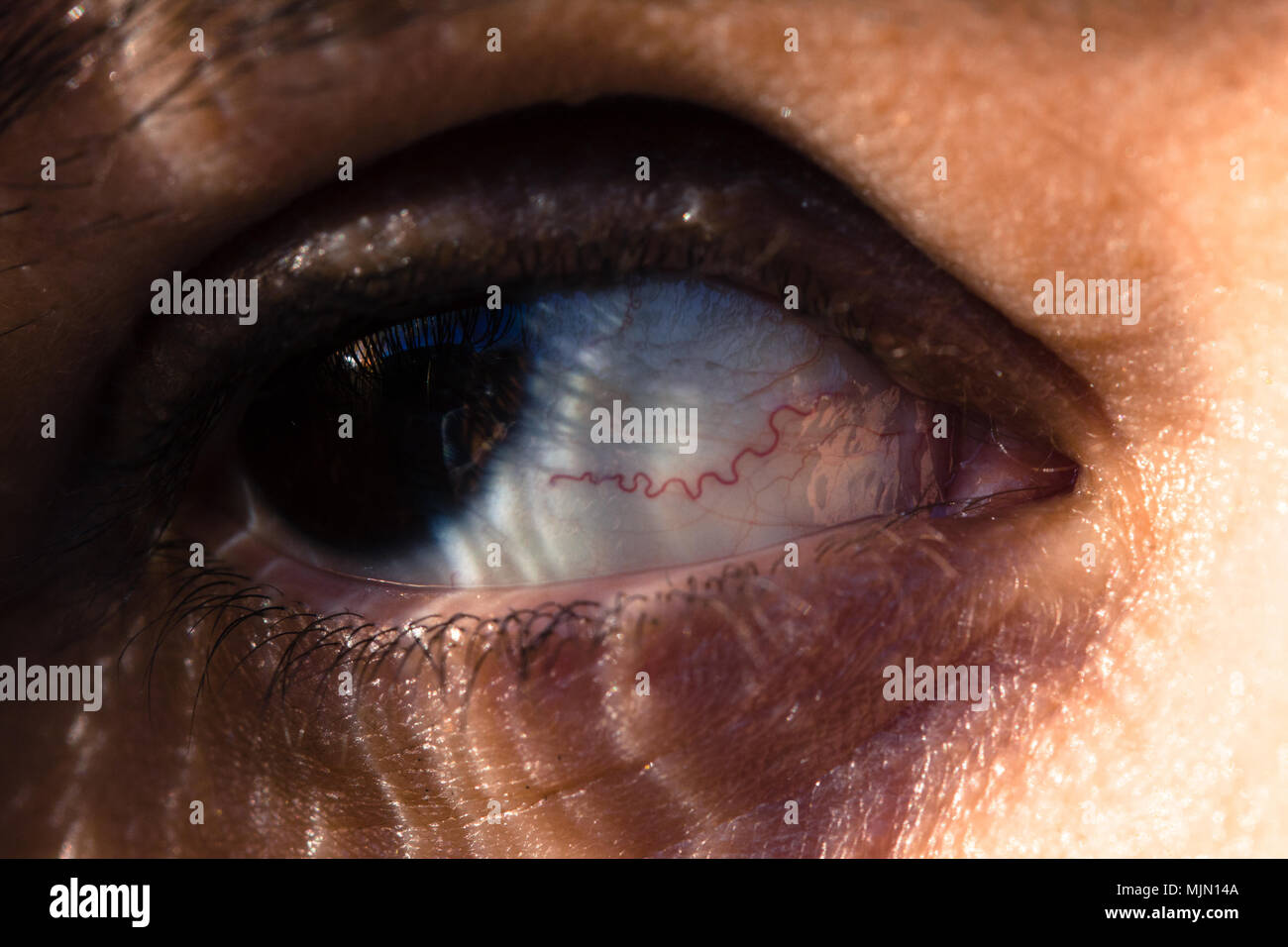 Visage oeil vision vue voir femme fille Banque de photographies et d ...