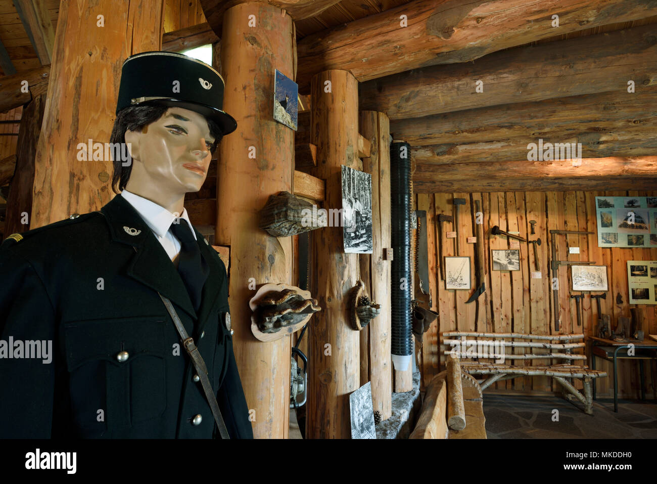 Park ranger uniform forest Banque de photographies et d’images à haute ...