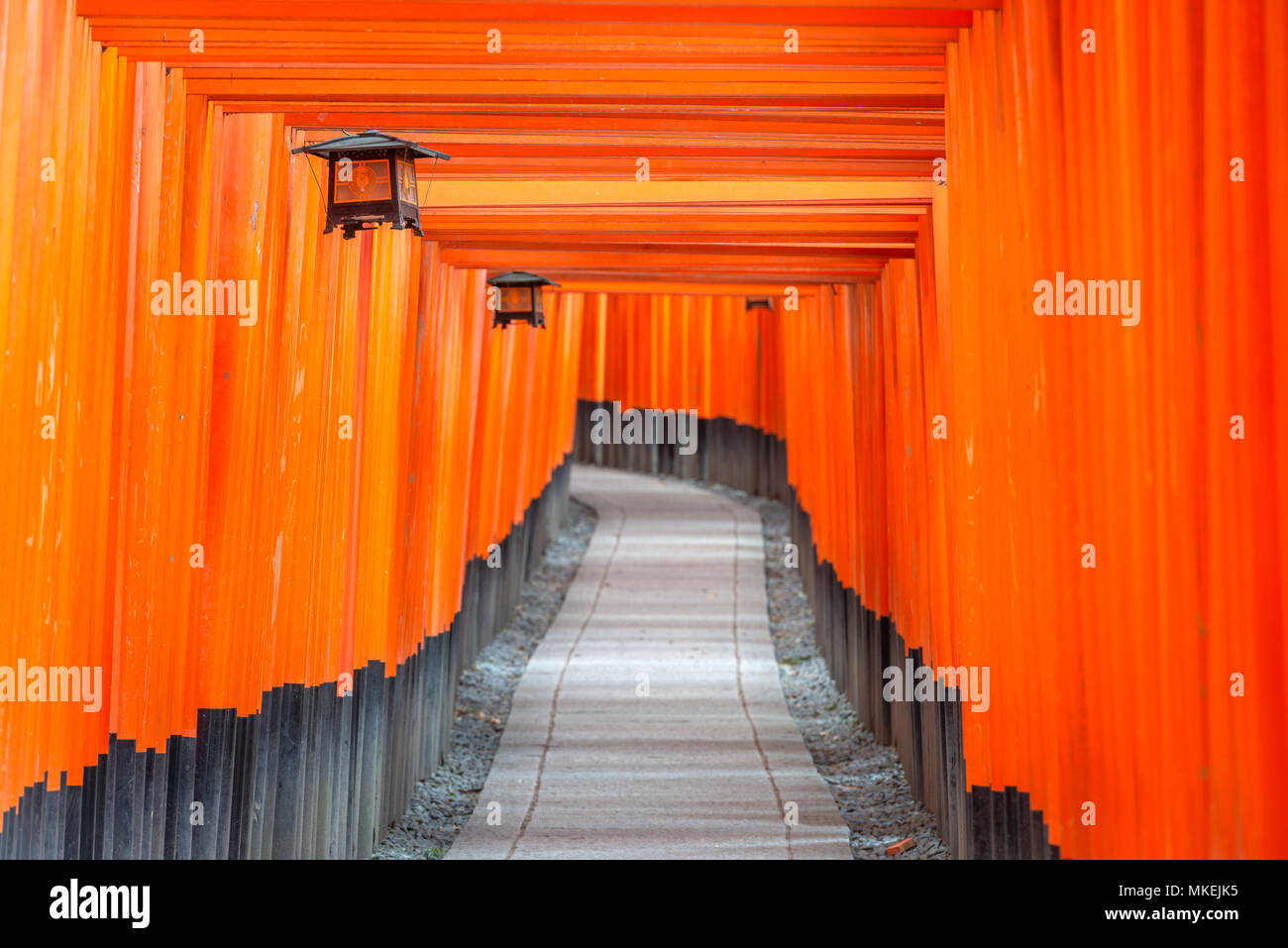 Kyoto japon shinto porte torii rouge Banque de photographies et d ...