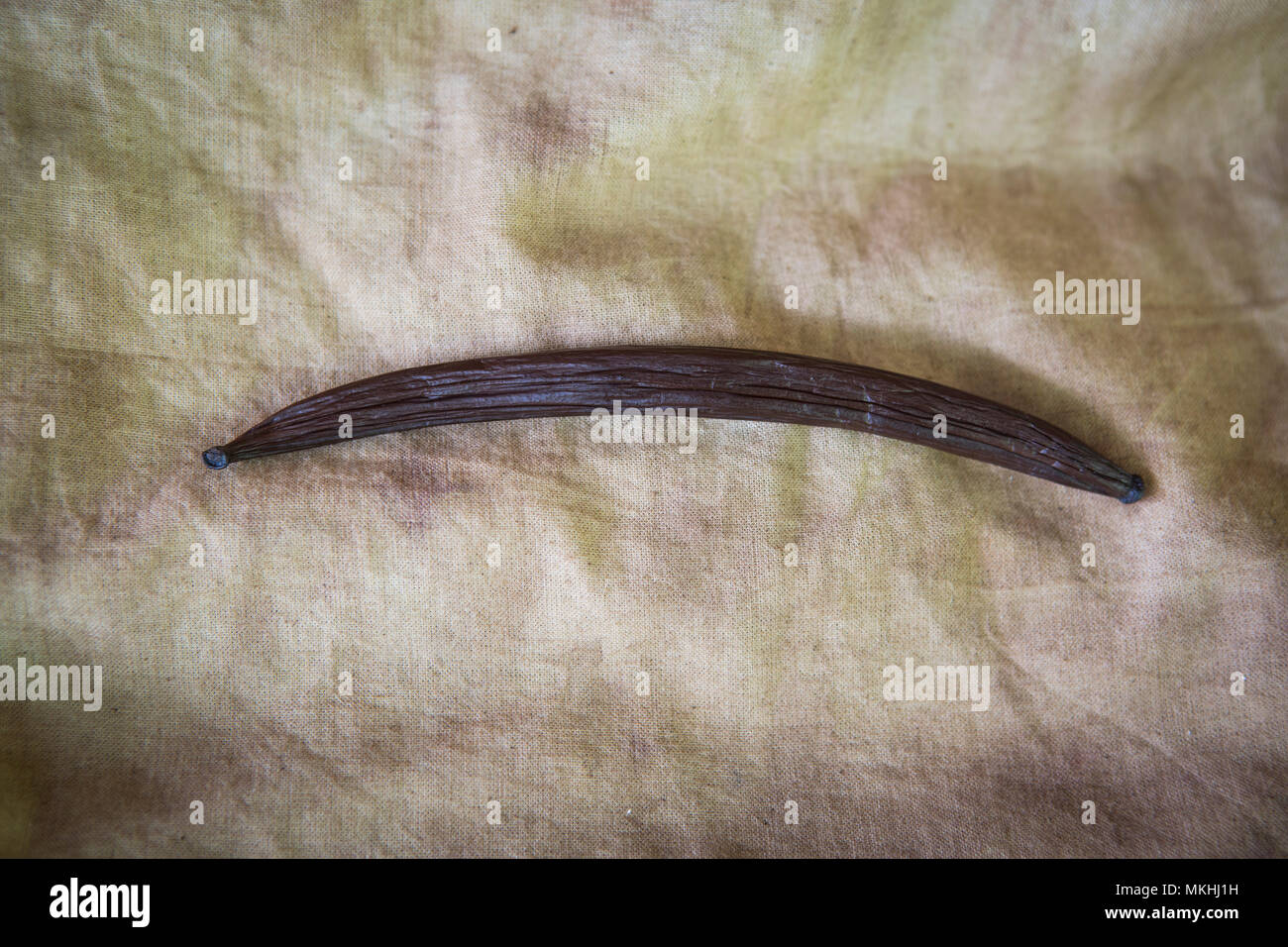 Vanilla plants Banque de photographies et d’images à haute résolution ...