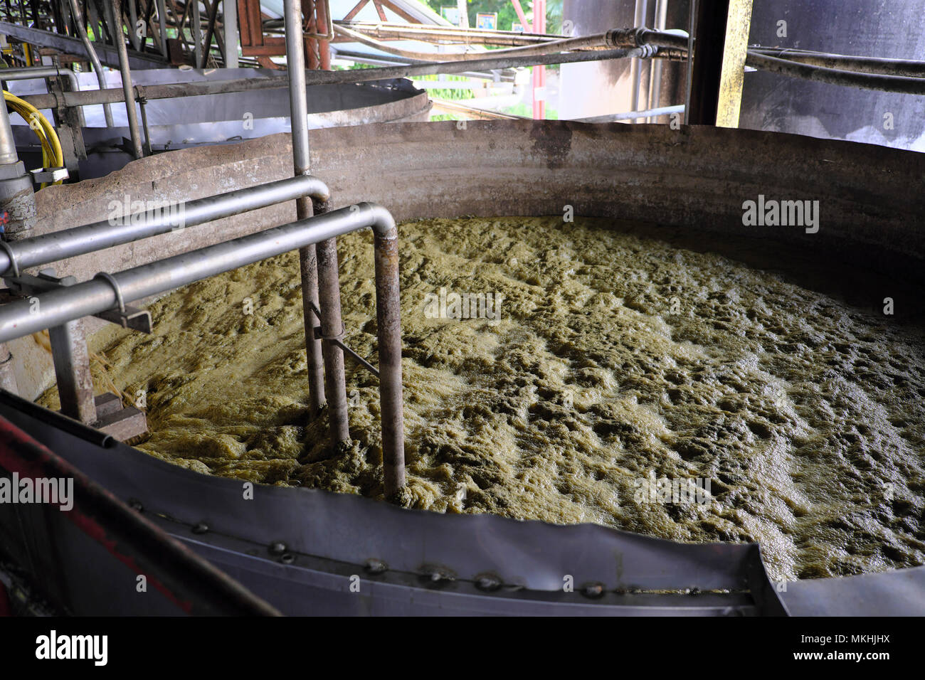 Guadeloupe rum Banque de photographies et d’images à haute résolution ...