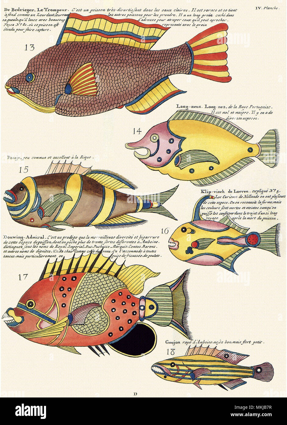 Six animaux Banque de photographies et d’images à haute résolution - Alamy