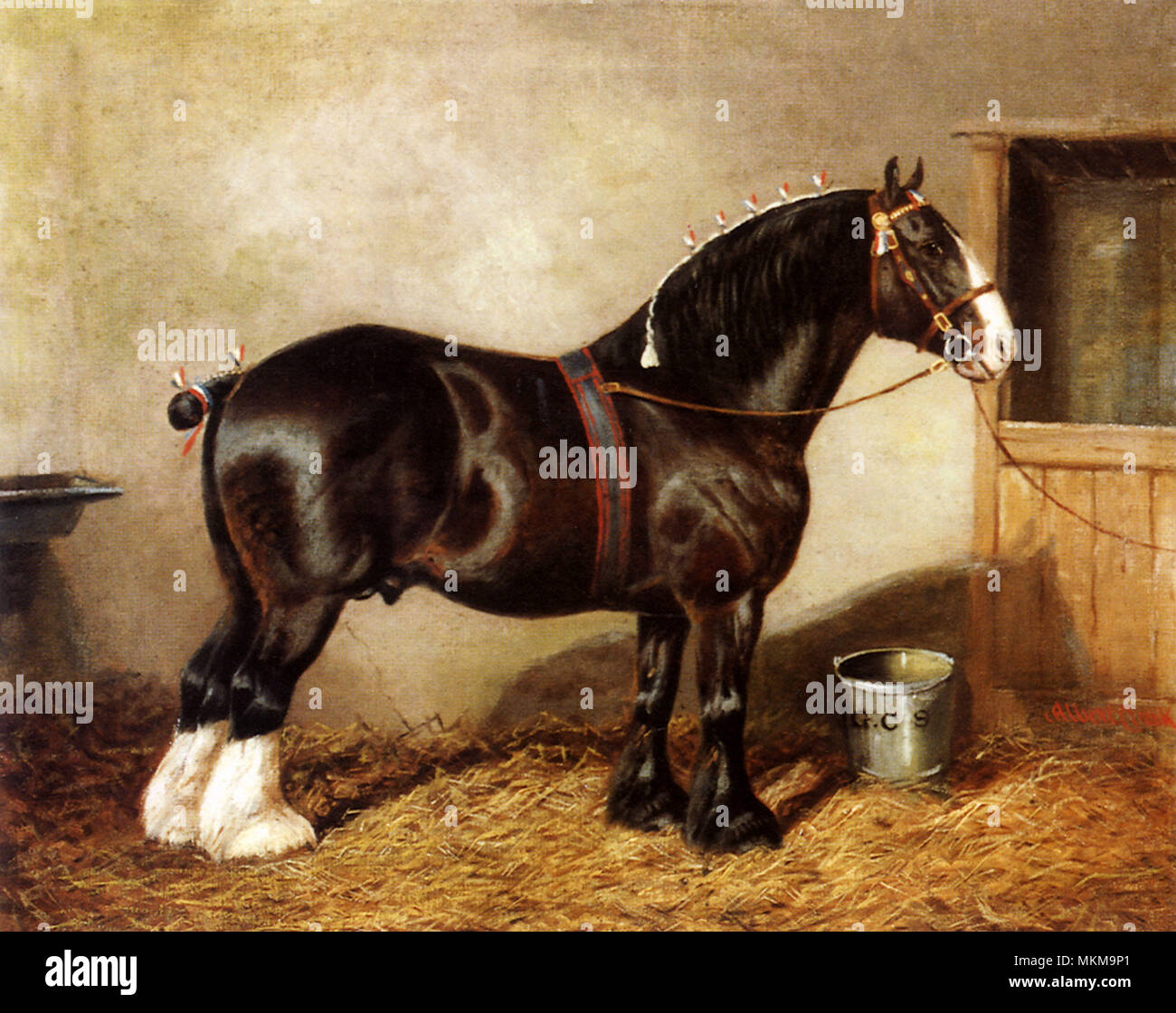 The shire Banque de photographies et d’images à haute résolution - Alamy