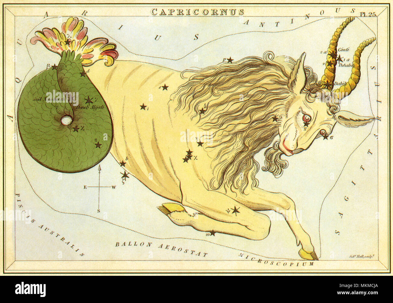 Constellation du capricorne Banque de photographies et d’images à haute ...