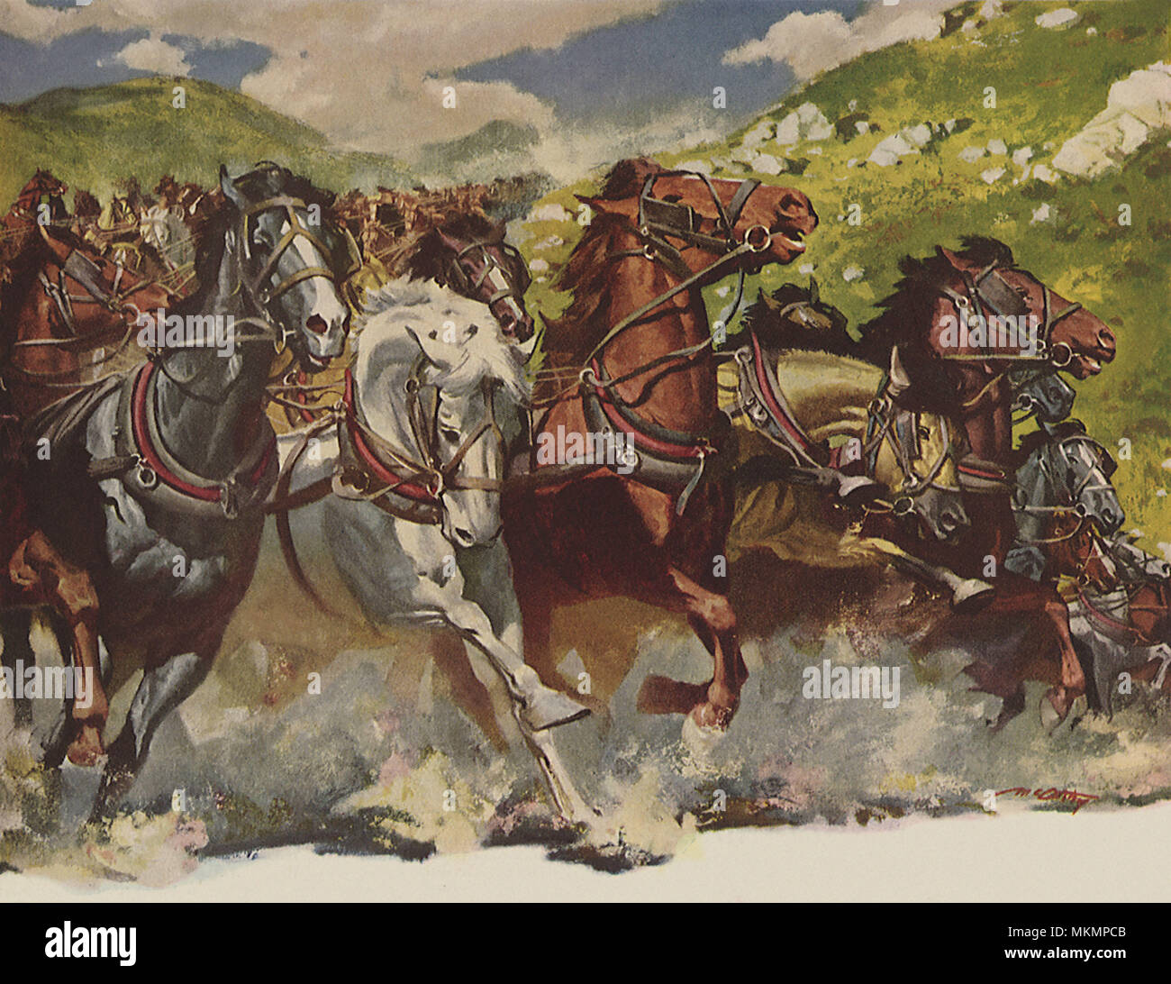 Charge animal Banque de photographies et d’images à haute résolution ...