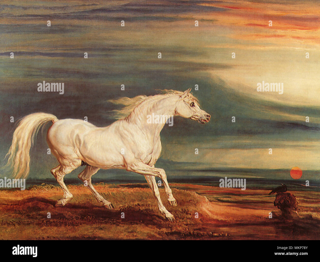 Cheval napoléon marengo napoléon Banque de photographies et d’images à ...
