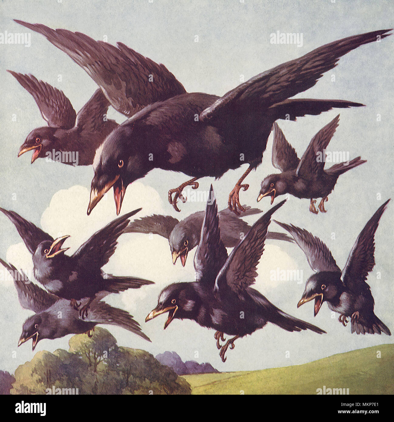 Les sept corbeaux Banque de photographies et d’images à haute ...