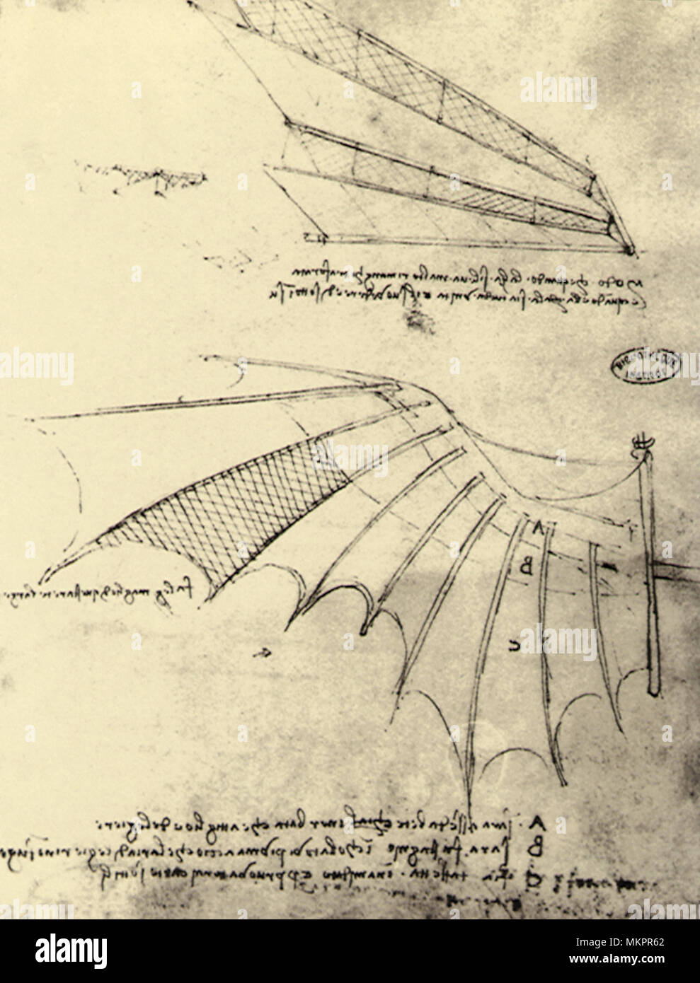 Invention de machine volante leonardo da vinci Banque de photographies ...