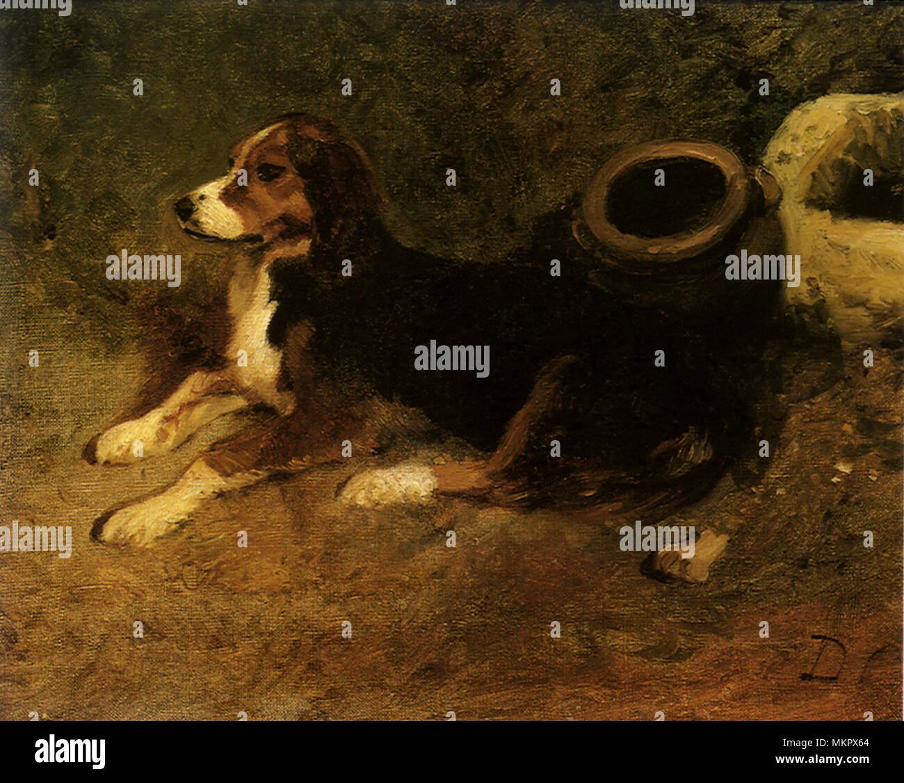 Chien de bête Banque de photographies et d’images à haute résolution ...