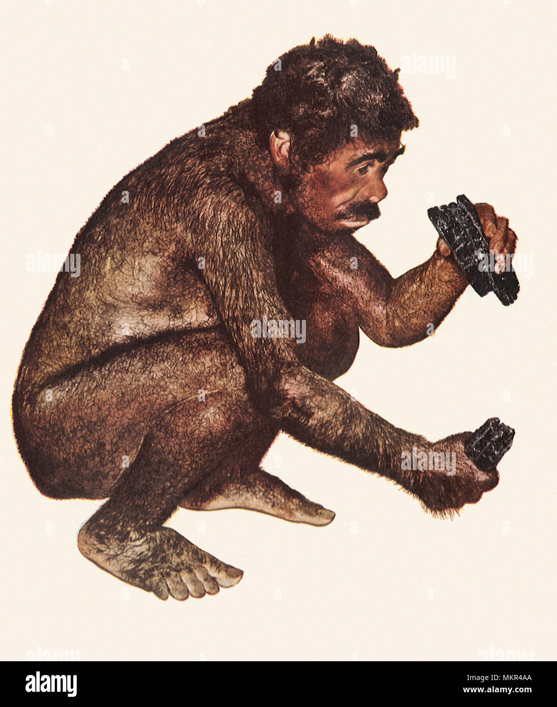 Homme préhistorique Banque de photographies et d’images à haute ...