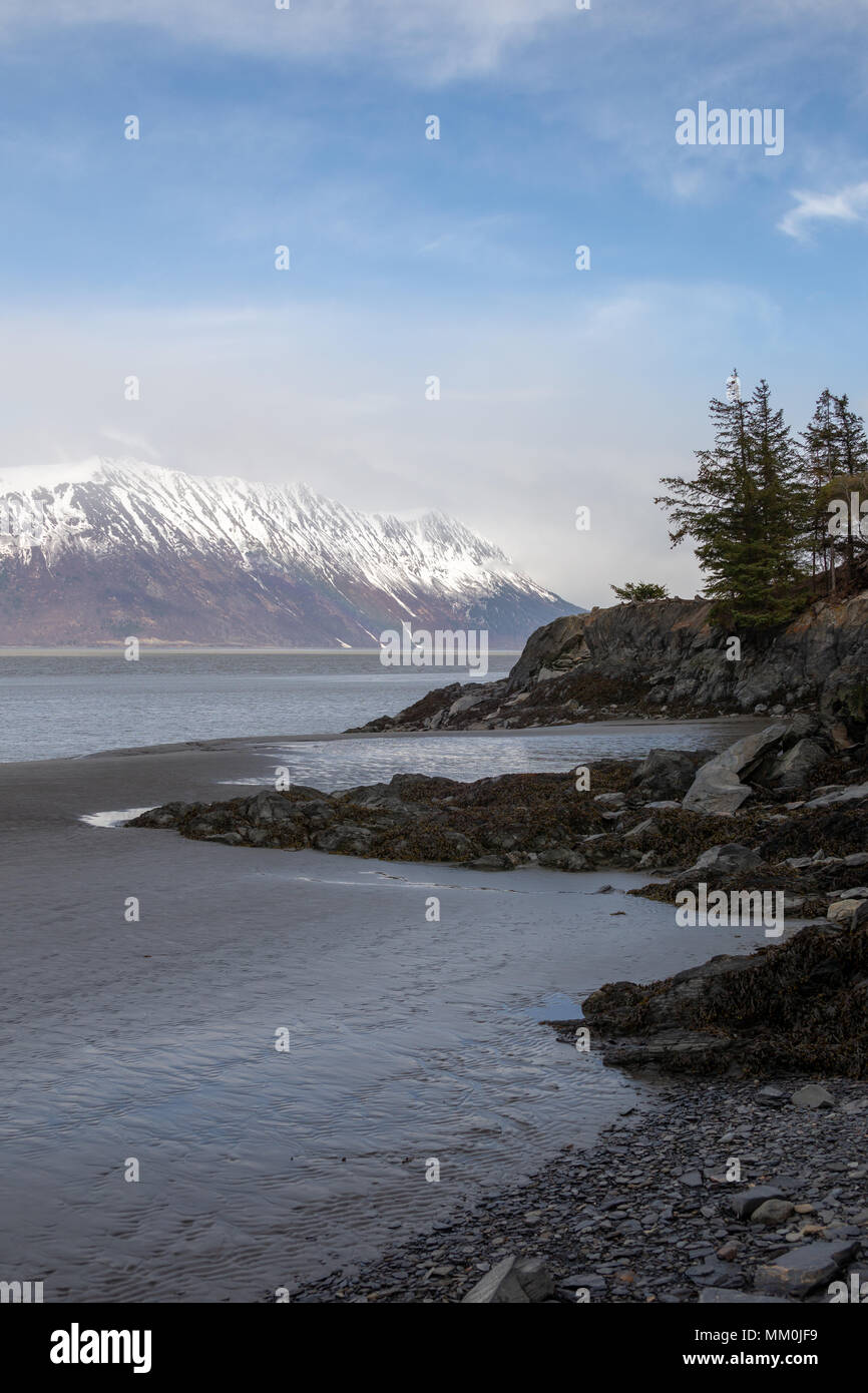 Turnagain Arm, estrans, arbres, montagnes et l'eau. Près de Hope, en ...
