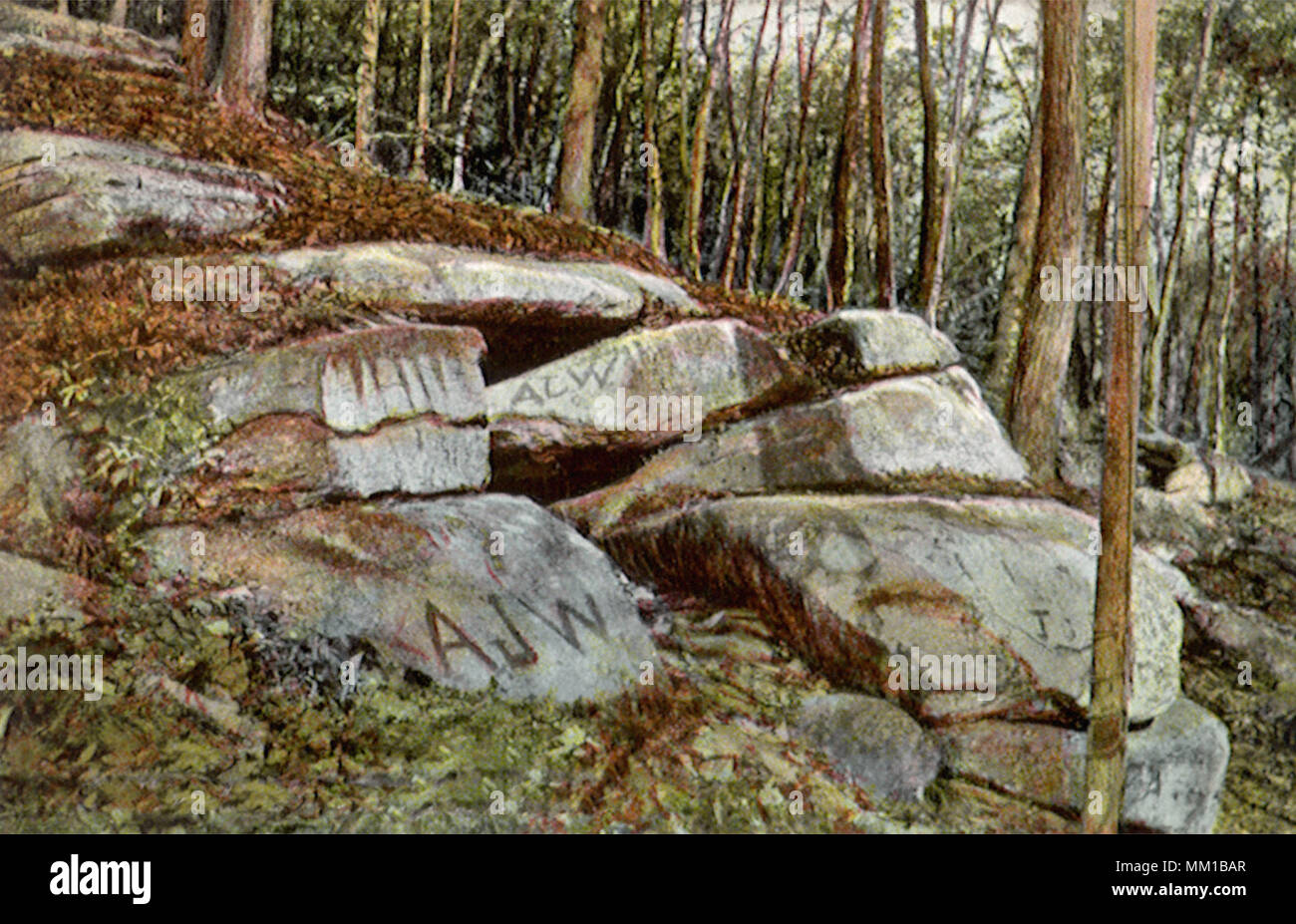 Wolf den Banque de photographies et d’images à haute résolution - Alamy