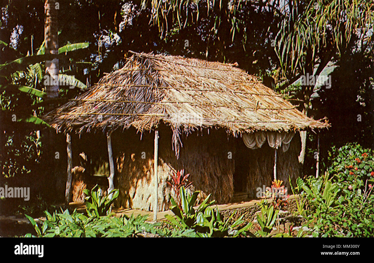 Grass hut hawaii Banque de photographies et d’images à haute résolution ...