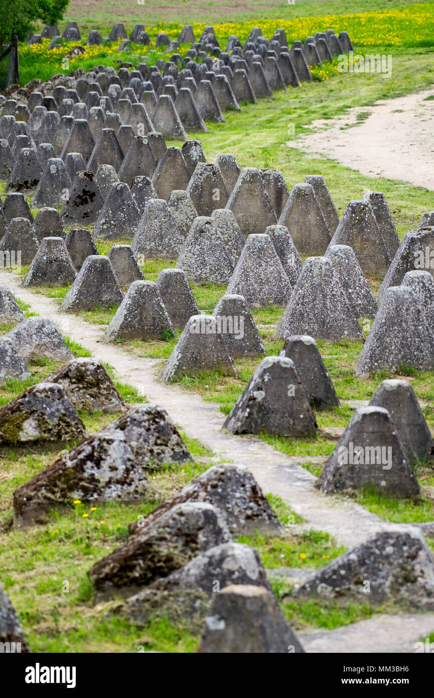 Dents de dragons en béton Banque de photographies et d’images à haute ...