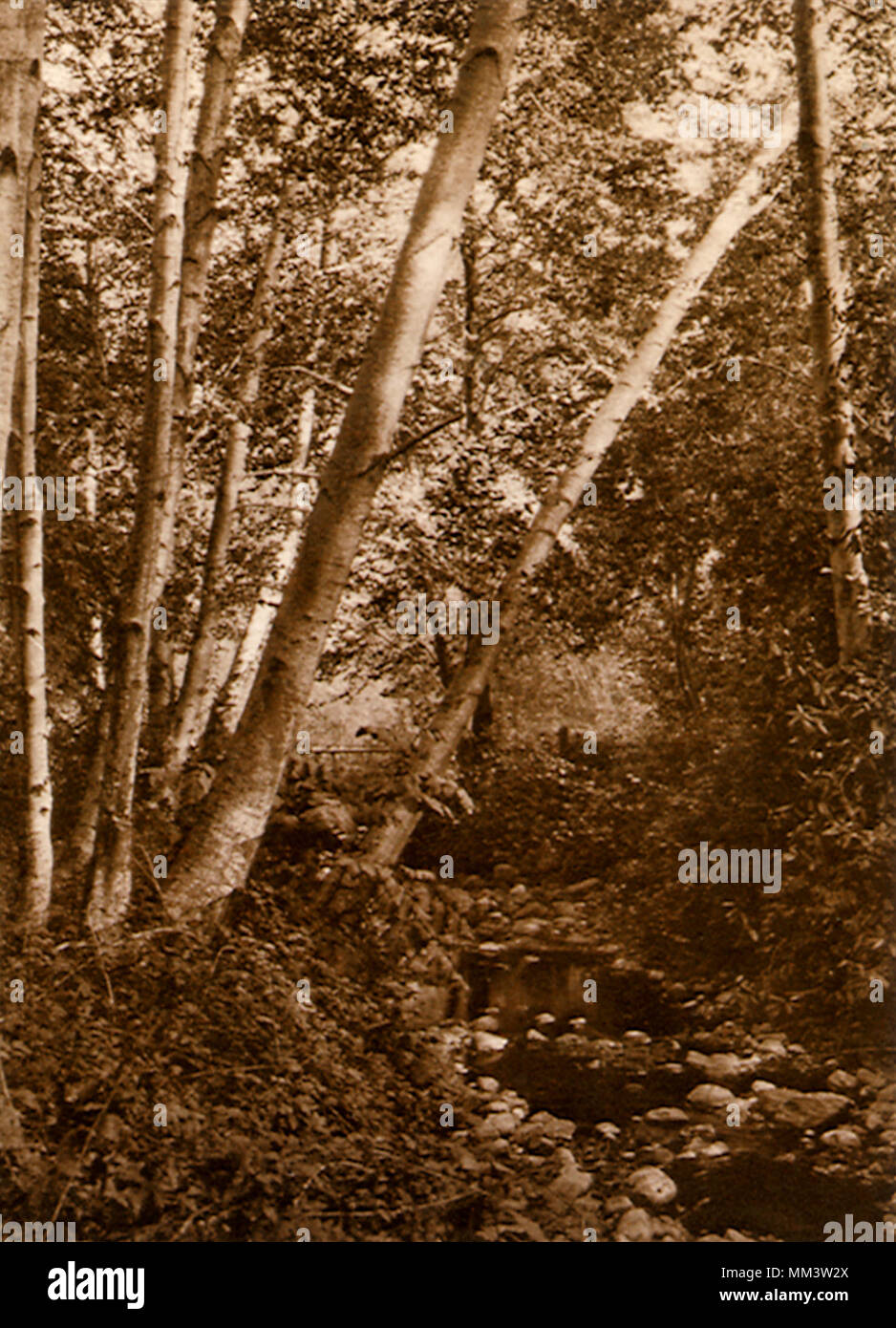 Ellen graham Banque de photographies et d’images à haute résolution - Alamy