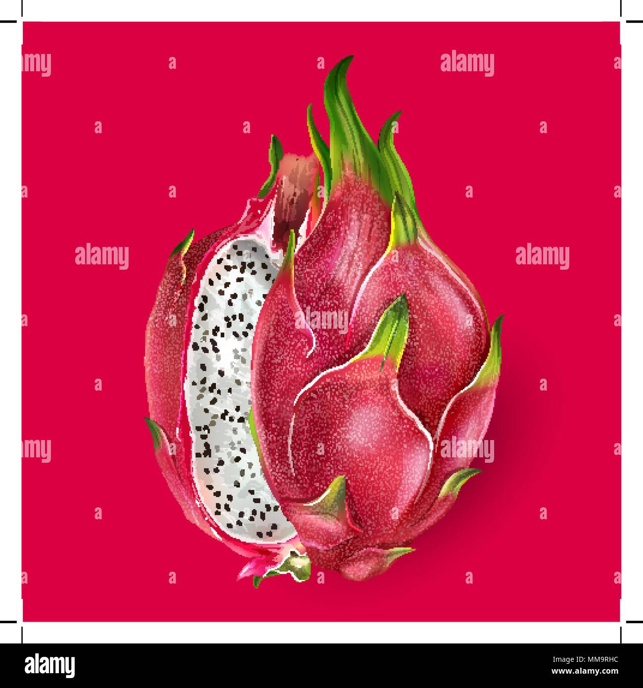 Vector de fruta de dragon Banque d'images vectorielles - Alamy