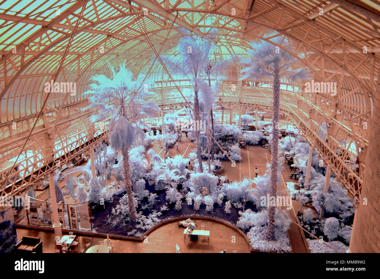 Le palais rouge Banque de photographies et d’images à haute résolution ...