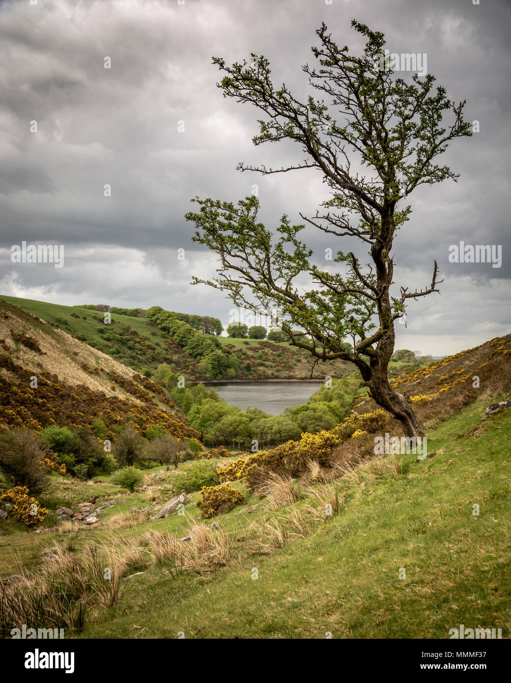 Meldon reservoir Banque de photographies et d’images à haute résolution ...