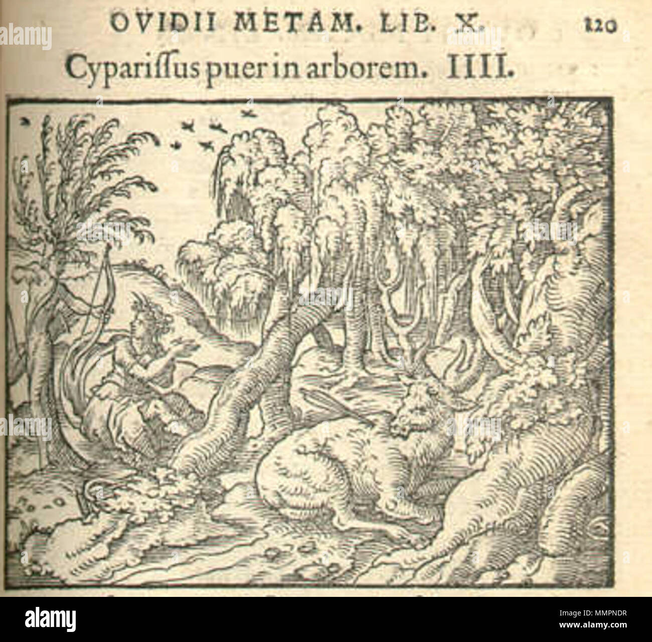 Apollo And Cyparissus Banque d'image et photos - Alamy