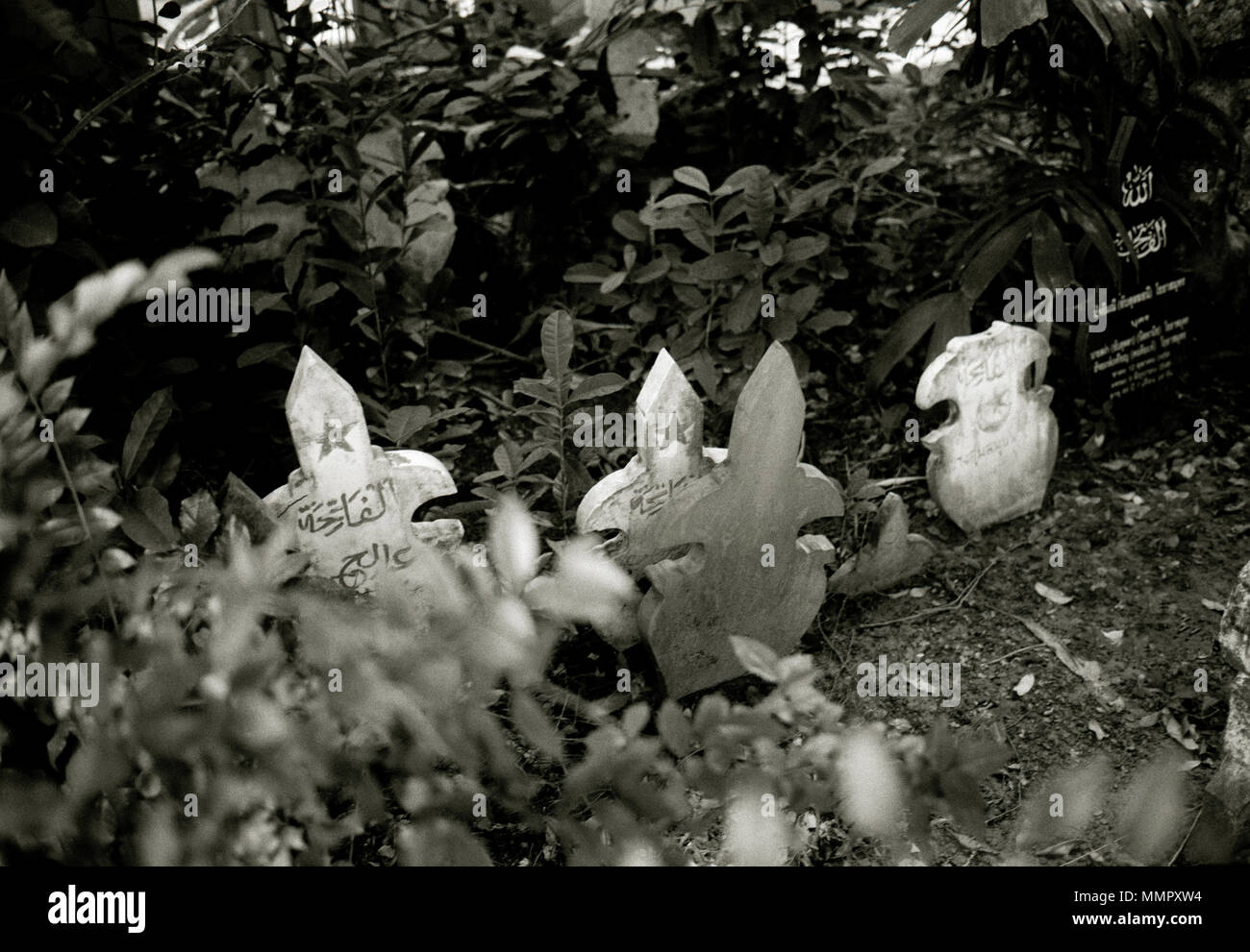 Le cimetière islamique de Tonson mosquée la plus ancienne mosquée de ...