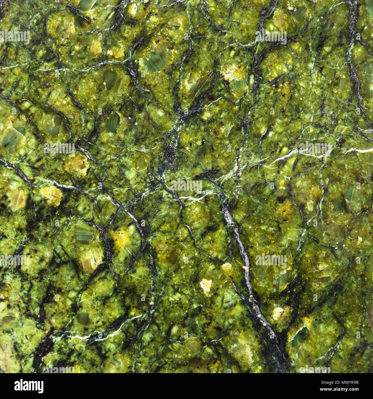 Metamorphic rock serpentinite Banque de photographies et d’images à ...