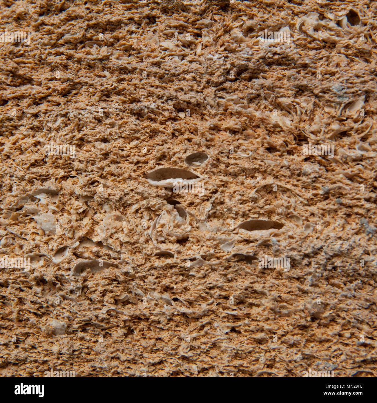 Limestone texture Banque de photographies et d’images à haute ...