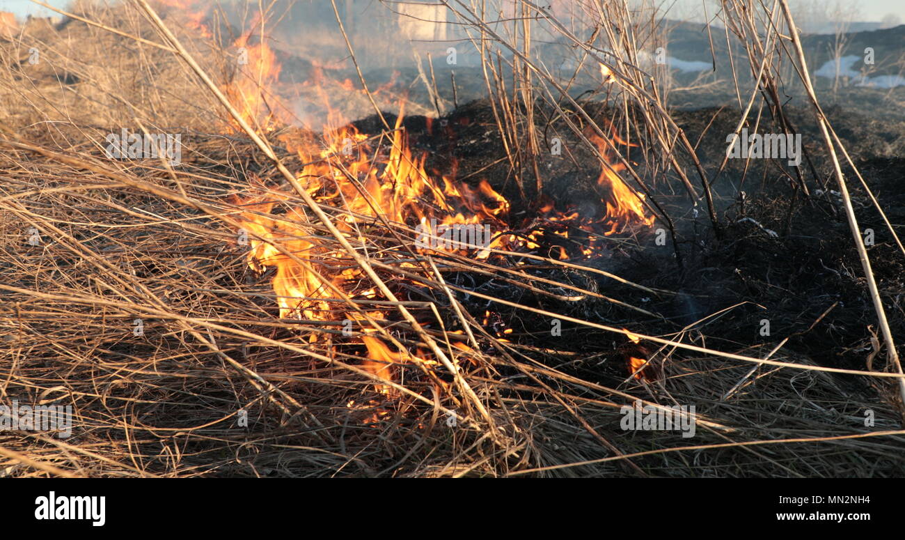 Langue seche Banque de photographies et d’images à haute résolution - Alamy