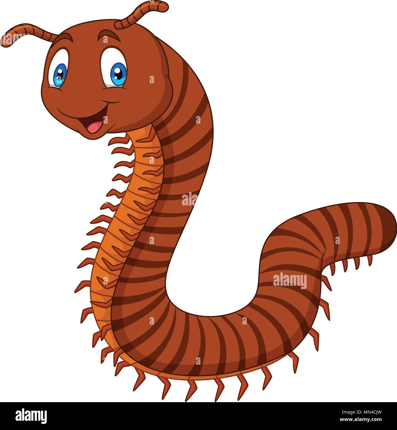 Mille pattes rayé Banque d'images vectorielles - Alamy